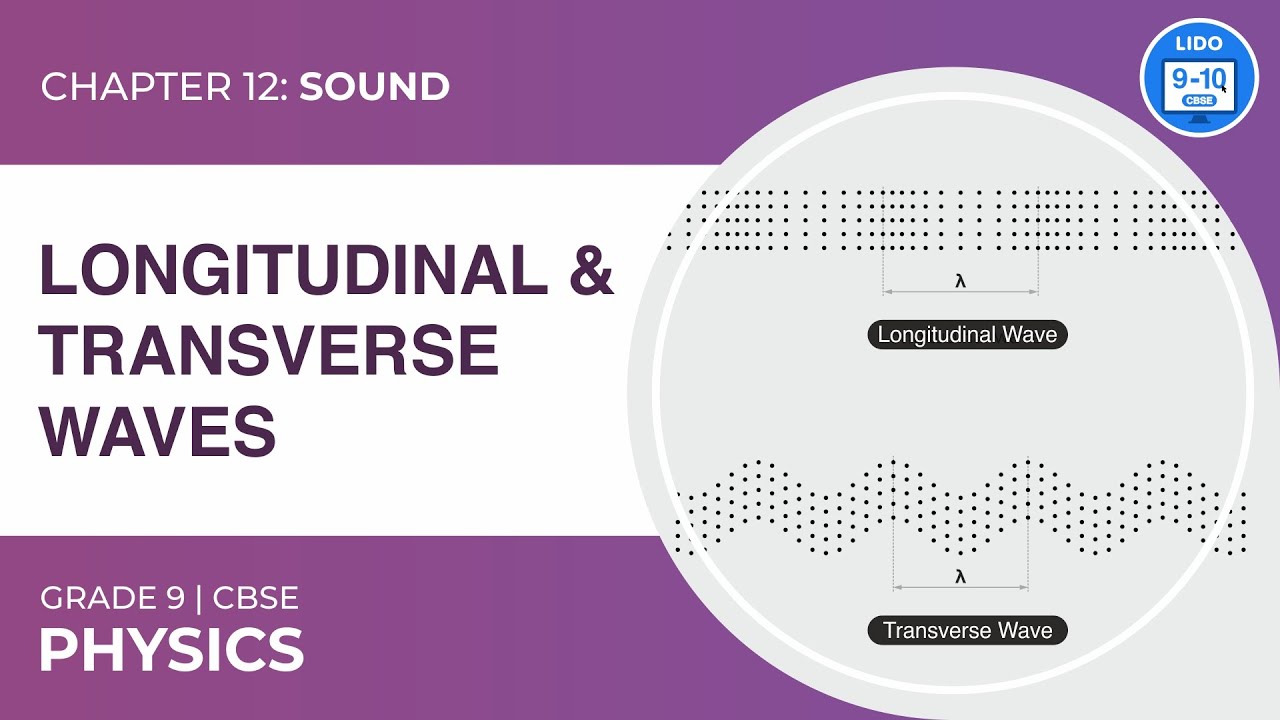 Sound waves - Longitudinal and Transverse waves | Sound | Class 9 ...