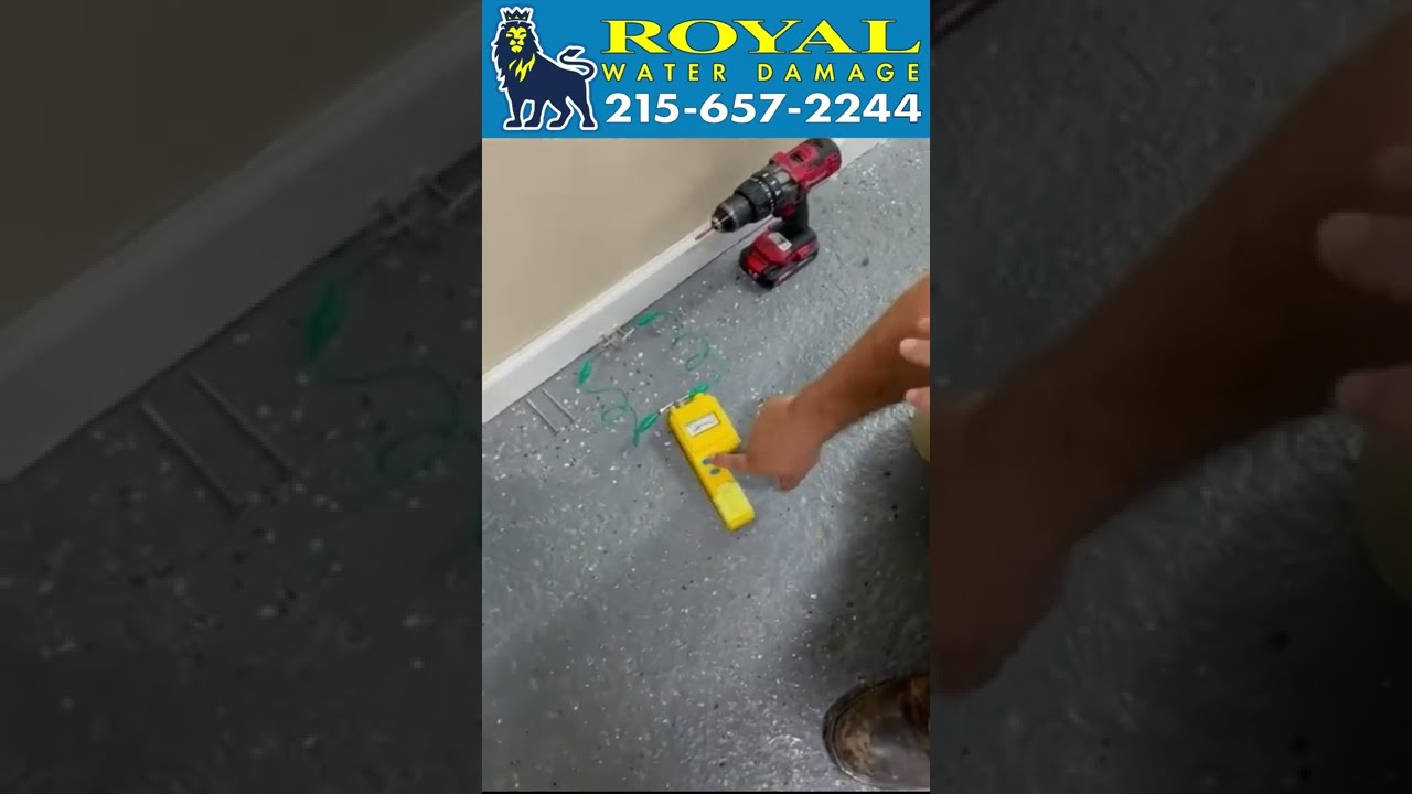 What is Dry? The Dry Standard - YouTube