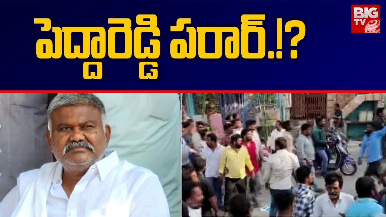 144 Section In Tadipatri: పెద్దారెడ్డి పరార్.!? | AP Elections 2024 ...