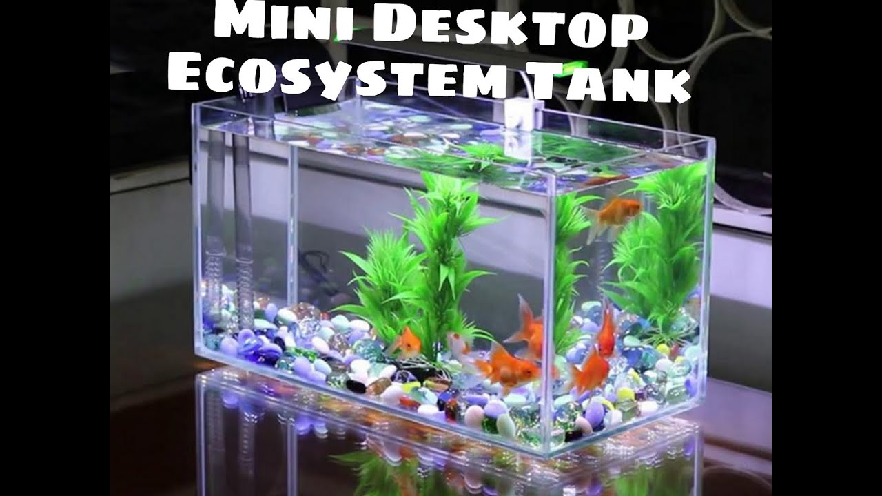 How to Build a DIY Aquarium Landscape - Mini Desktop Ecosystem Tank ...