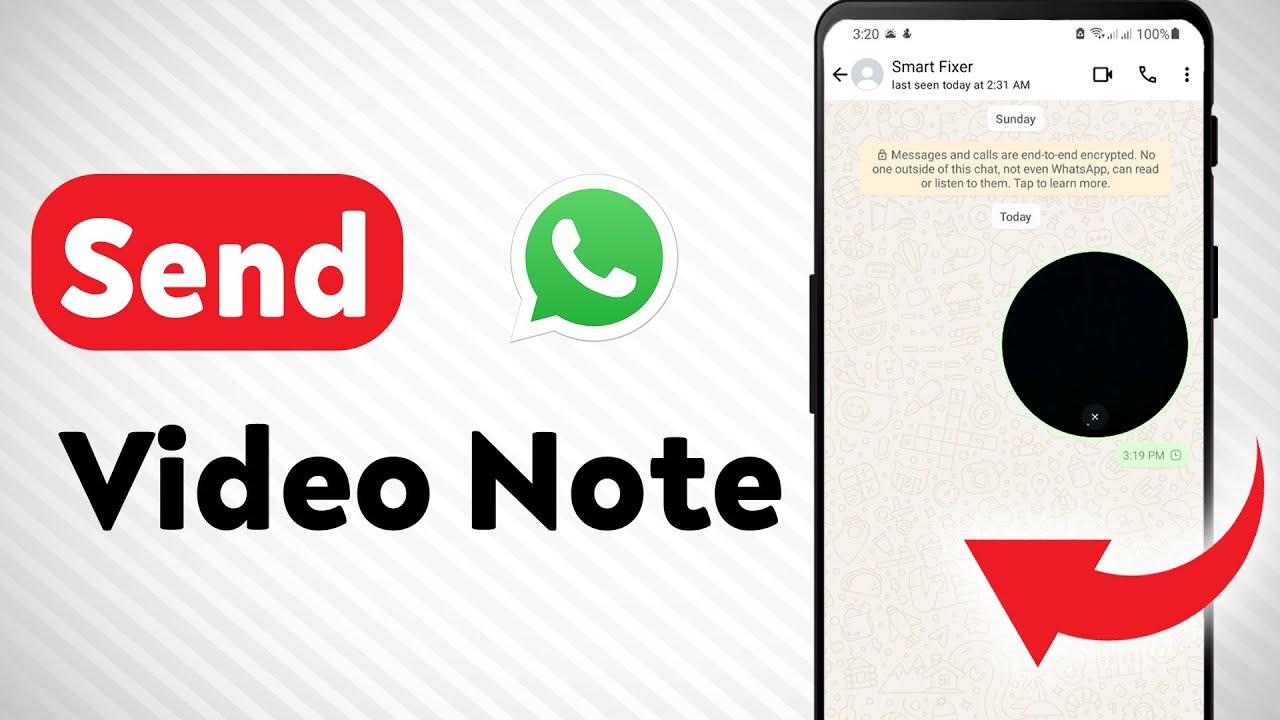 How To Send A Video Note On WhatsApp (Updated) - YouTube