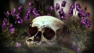 Poison or Potion? The Dark History of Deadly Plants 