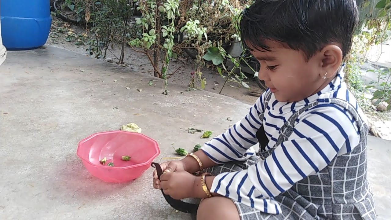 आरोही कोणते काम करत आहे अणि karle च्या भाजी मध्ये काय काय टाकणार माहीत ...