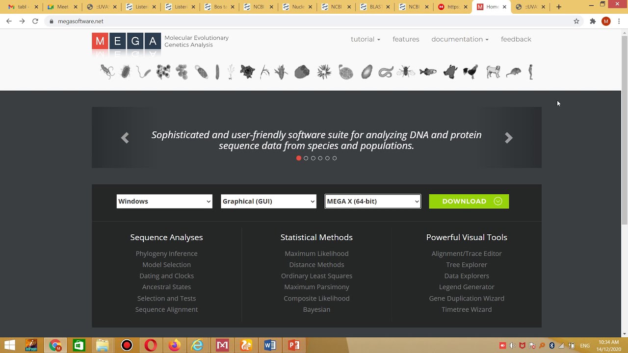 How to make Phylogenetic tree through Mega X #phylogeny #multiple ...