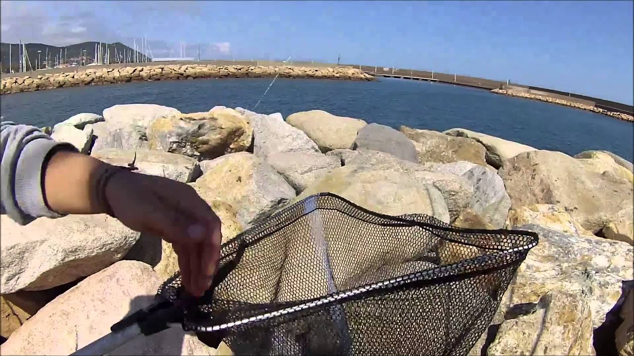 PESCA AL PORTO SARAGHI & ORATE - YouTube