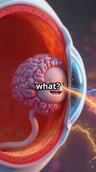 How Do Your Eyes Work? #kidsshorts #funlearning #animation # ...