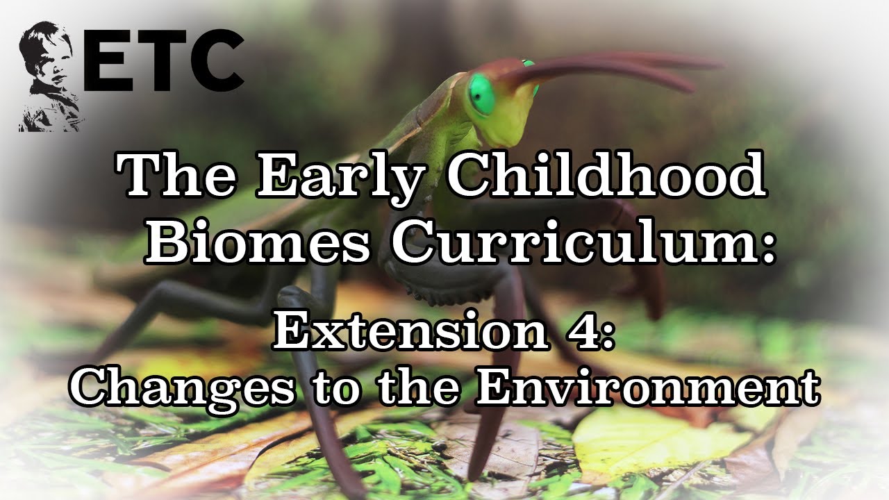 The Early Childhood Level Biomes Curriculum Presentation Four YouTube the-early-childhood-level-biomes-curriculum-presentation-four-youtube