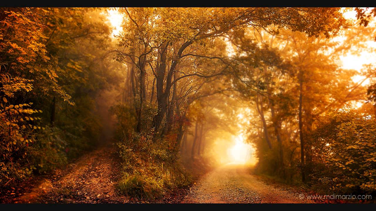 Koby Israelite - Khabiel [HQ] - YouTube