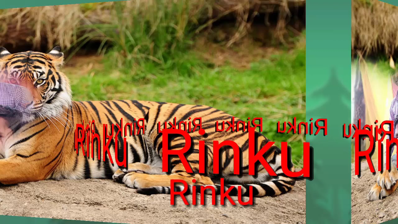 November 25 2019 YouTube november-25-2019-youtube