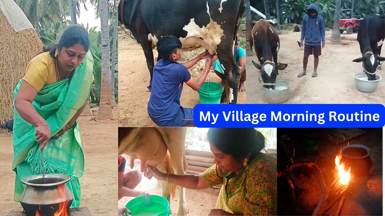 Vlog6 My Village Morning Routine Indian Village Peoples Morning