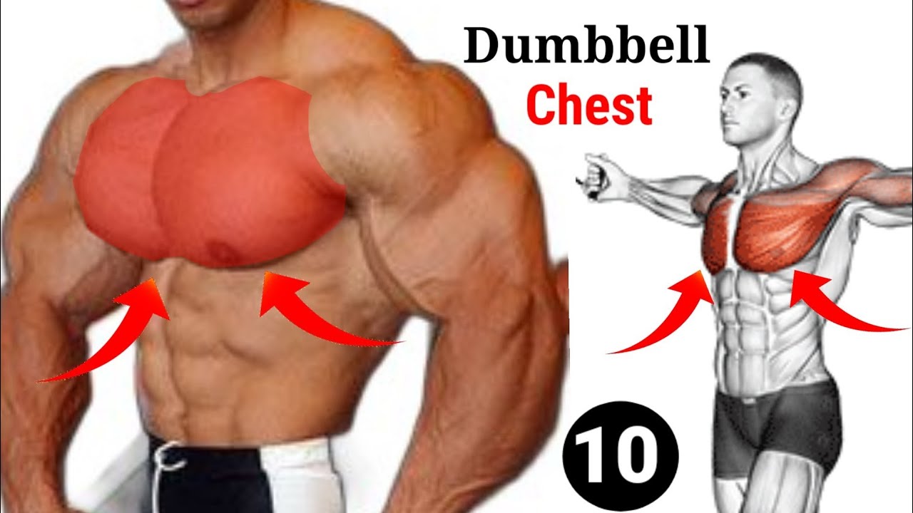 chest workout with dumbbells | fitness workout - YouTube