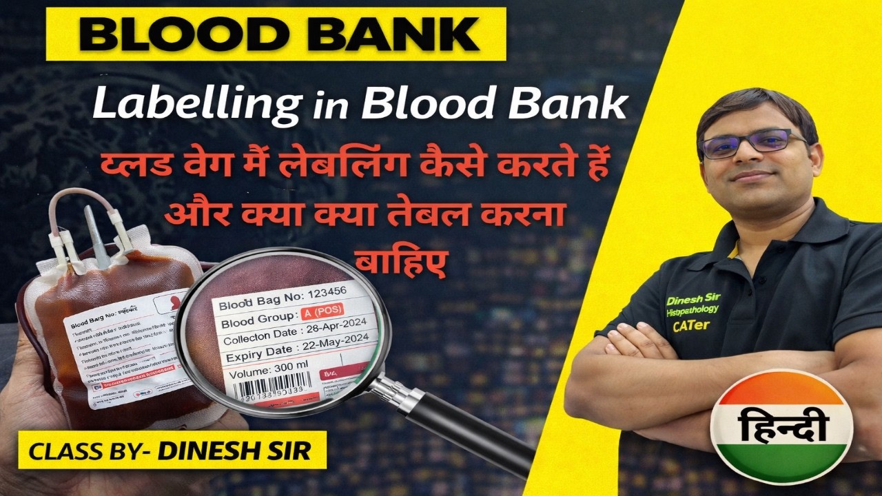 Labelling in Blood Bag in Blood Bank | Color code in blood bank -05 ...