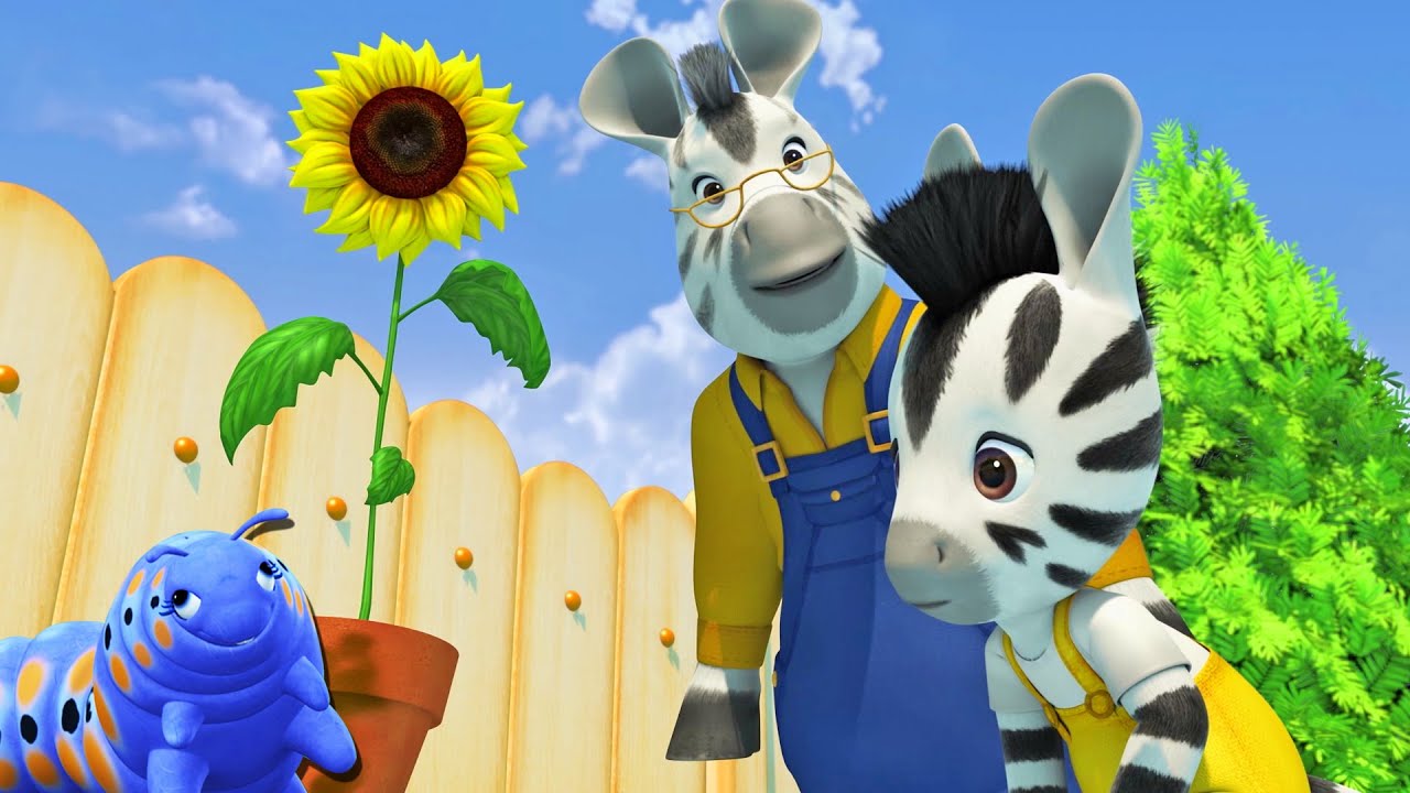 Best of Zou: The Mysteries of Nature | Zou Cartoon Full Episodes in ...