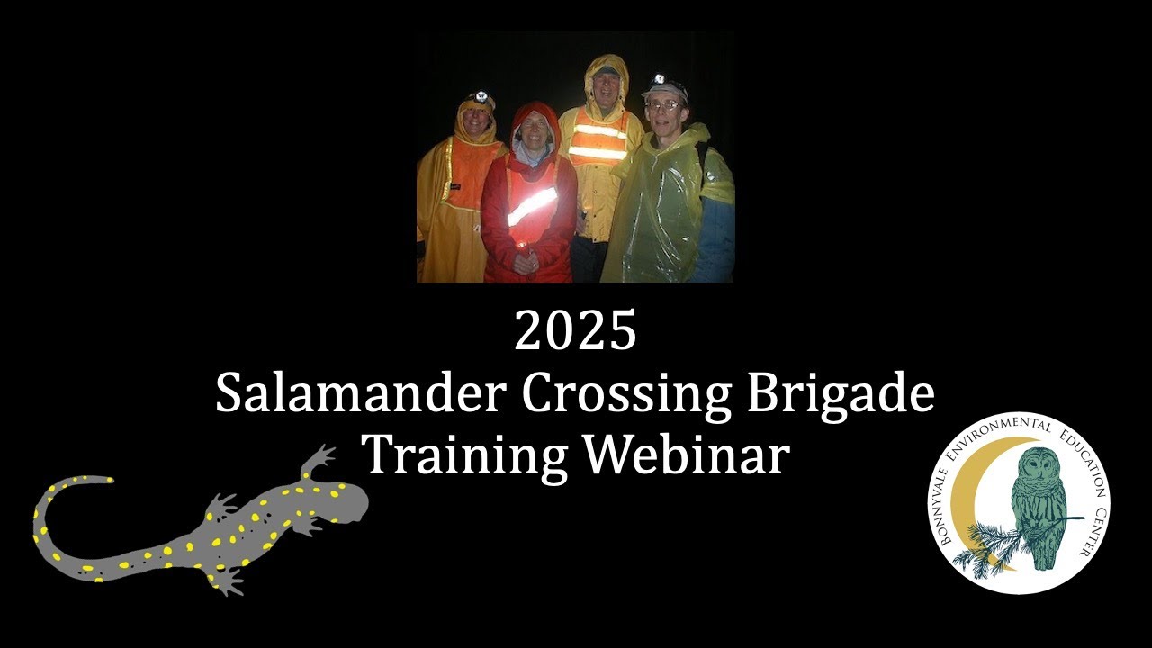 2025 Salamander Crossing Guard Training (online webinar recording ...