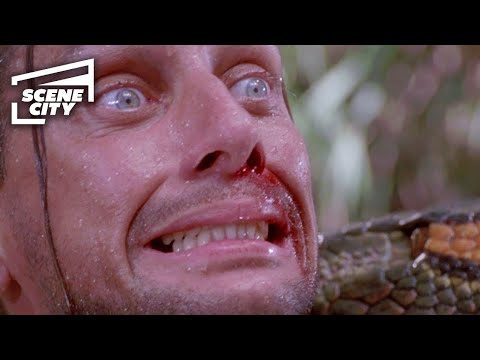 Anaconda: Primer Encuentro con la Serpiente (escena 4K HD)