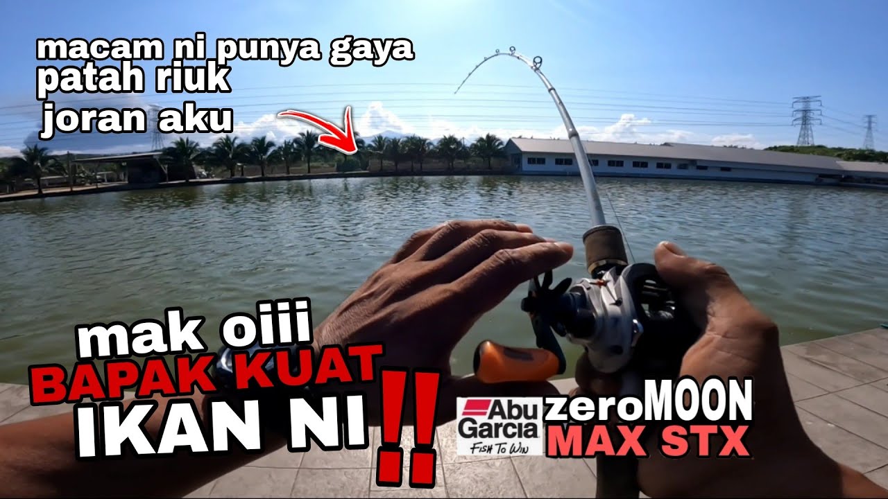 Seram !!. tarikannya dah macam kerbau. teruji reel abu garcia max stx . zero moon. - YouTube
