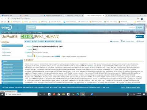 Exploring Pathways through Reactome - YouTube
