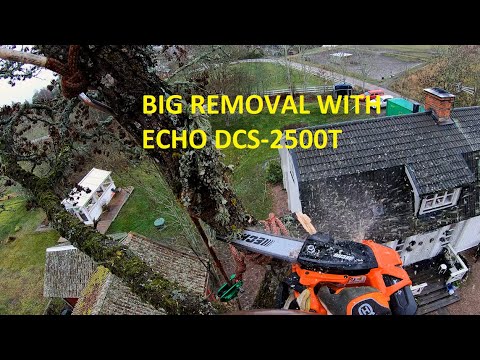 Arborist tree climbing and rigging down big tree | ECHO & STIHL saws ...
