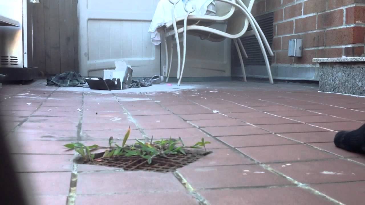 Thunder-B explosion, Baby powder and BBs HD - YouTube