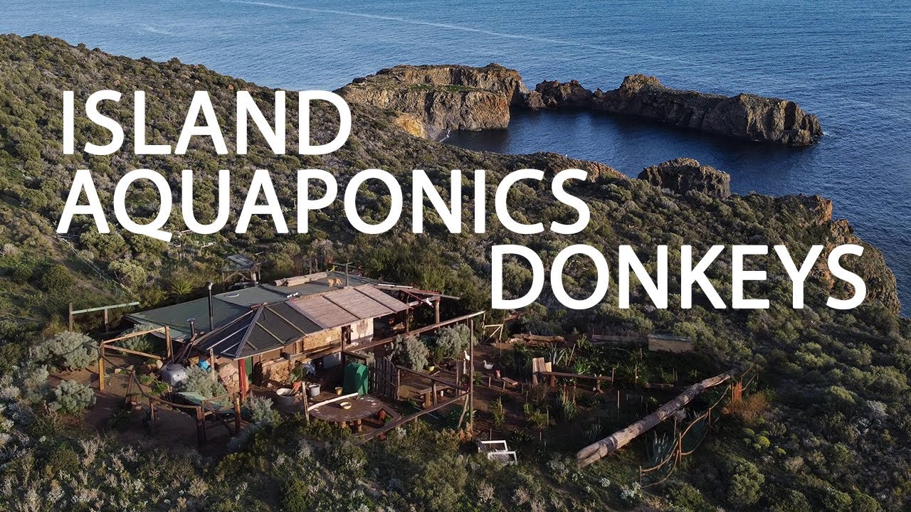 They've built an amazing micro-farm on an island ! Aquaponics ...