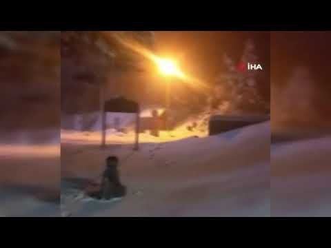 Uludağ’da ayı ile köpeğin boğuşması kameralarda