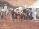 meknes magreb maroc rifle shooting on the horse, zewaj with turks