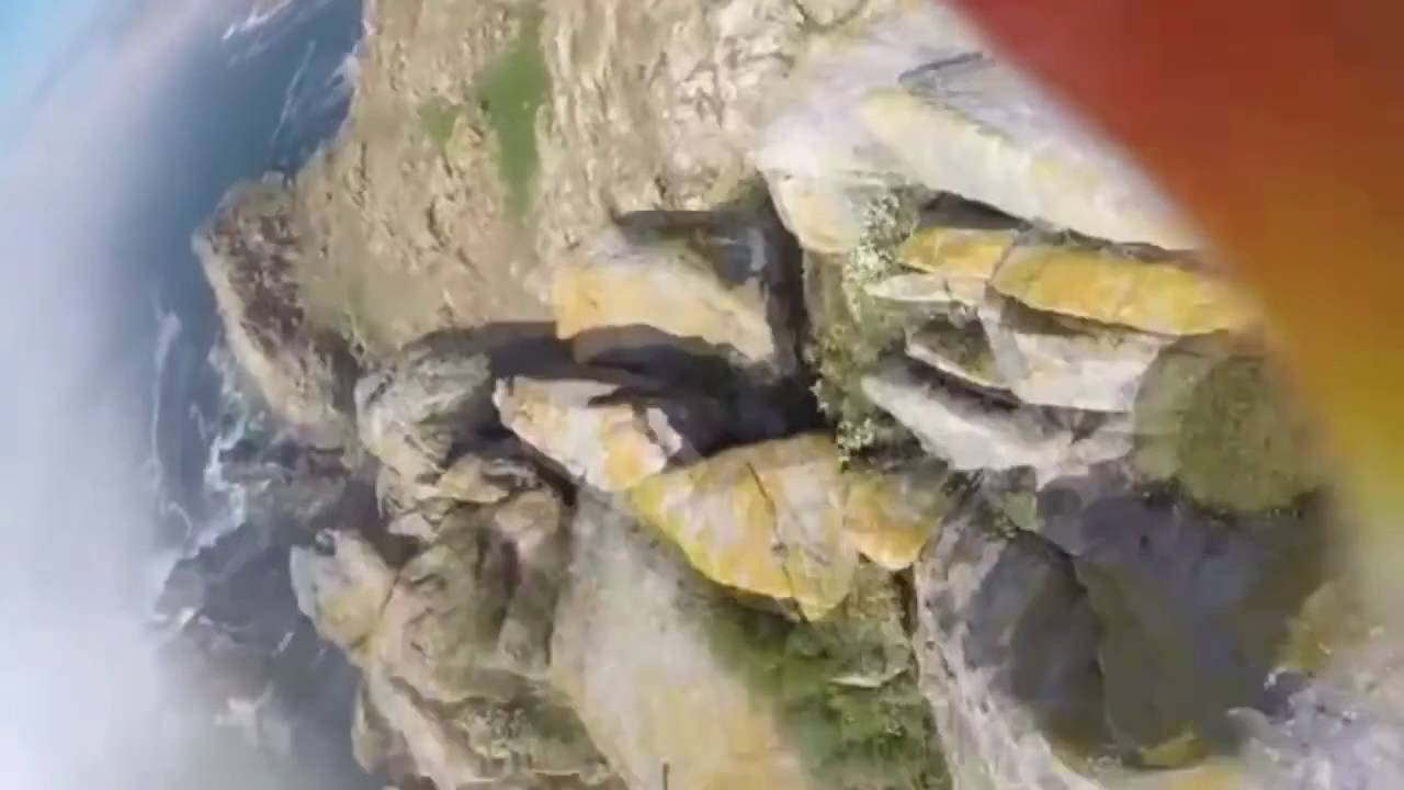 Coub TV #1 Наглая чайка - YouTube