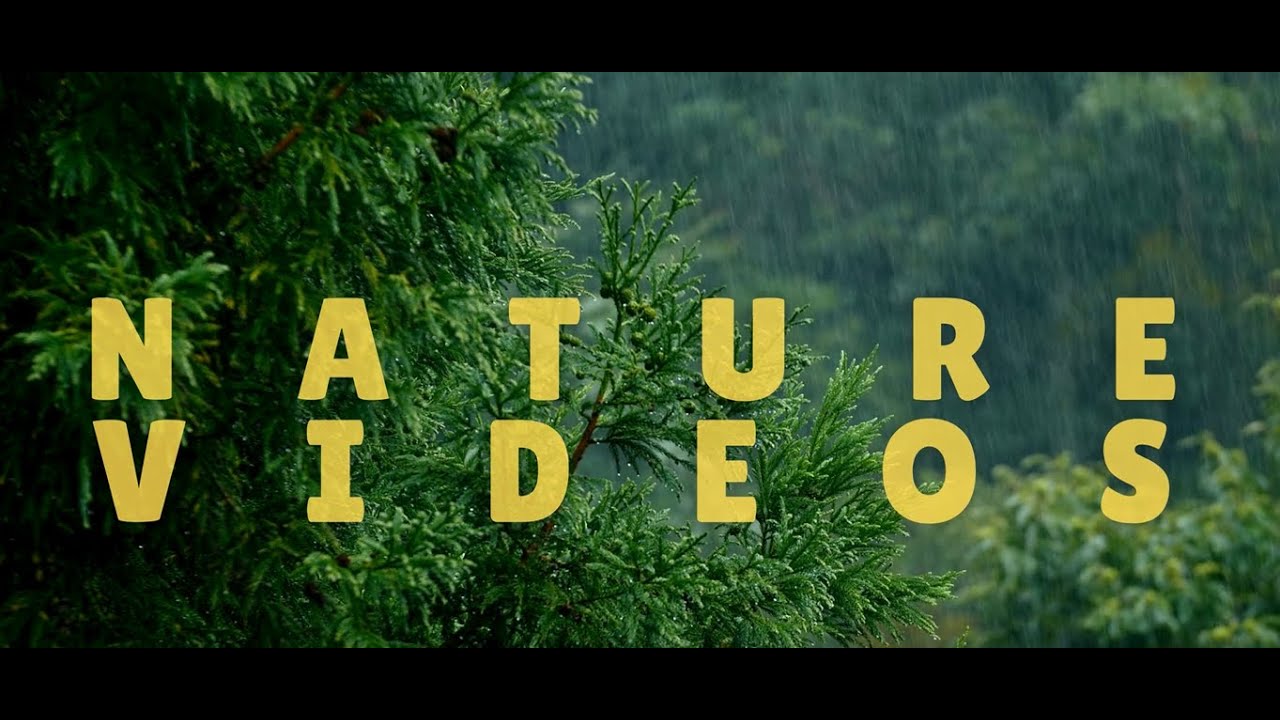 Amazing Nature Videos | HD Nature Videos |Stunning Nature Landscapes in ...