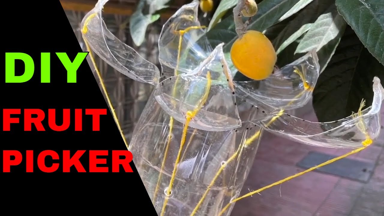 DIY Fruit Picker ! - YouTube
