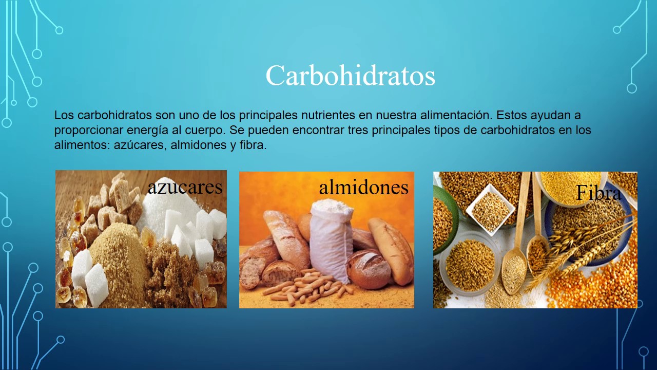 biomoleculas -derly daniela gualteros - YouTube