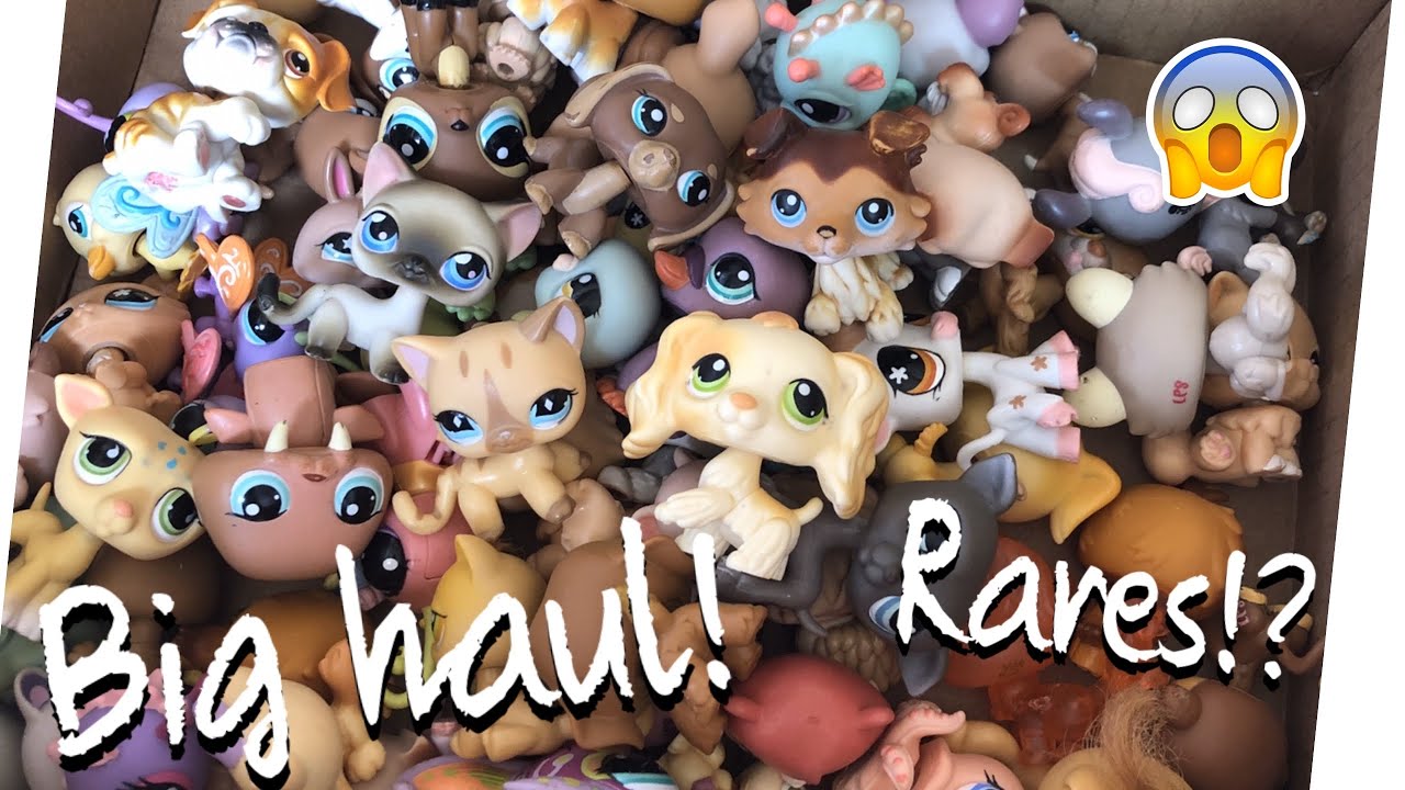 Big LPS haul from eBay! 80+ pets - YouTube