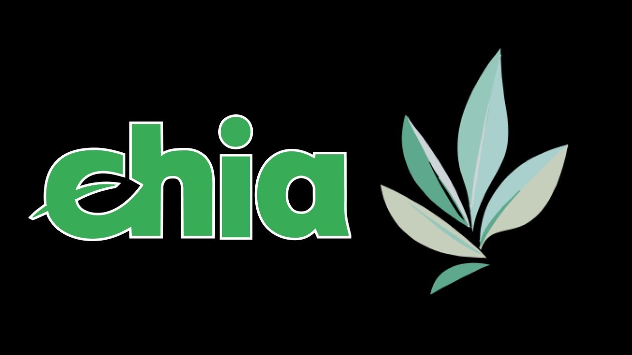 Sage Wallet: The New King of Chia Wallets feat. Rigidity16 - YouTube