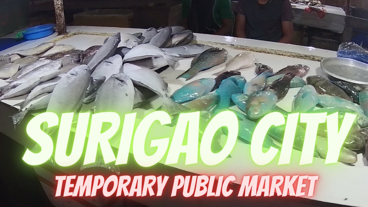 SURIGAO CITY TEMPORARY PUBLIC MARKET /// PUBLIC MARKET SURIGAO CITY ...