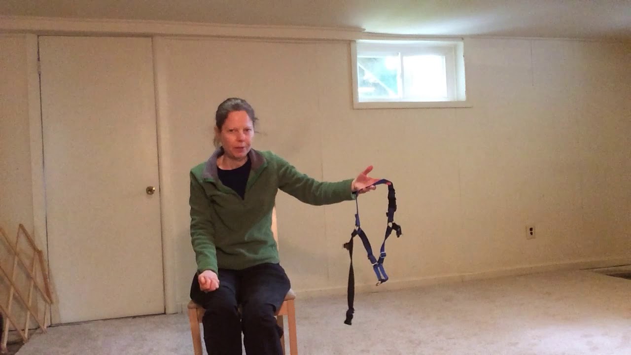 Harness shaping with Che, fourth and final session - YouTube