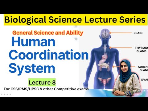 Human Coordination System | General Science Lectures Series | GSA ...