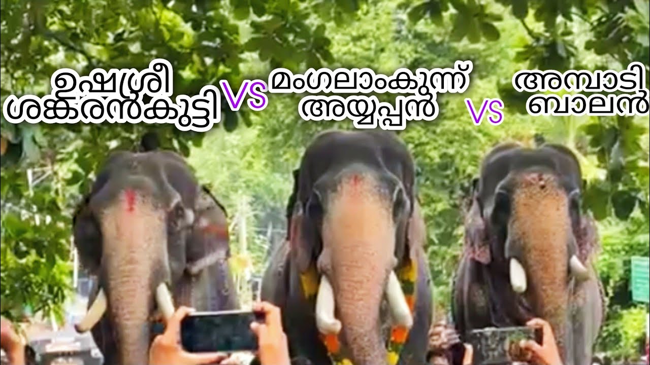 Ushasree Shankarankutty vs Mangalamkunn Ayyappan vs Ambadi ...