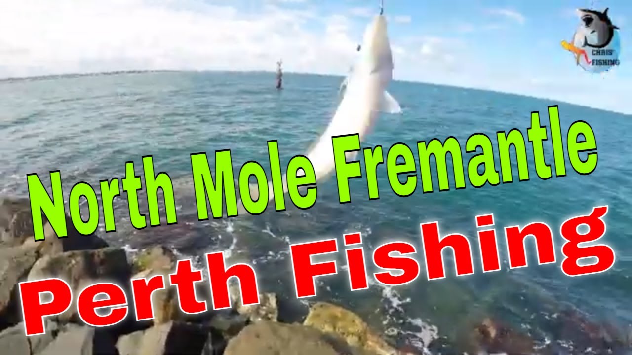 Fishing in North Mole Fremantle, Western Australia | Perth Fishing ...