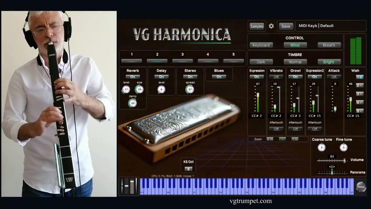 Blues Harmonica Style on a Wind Controller. VG Harmonica Virtual Instrument. EWI4000s ...