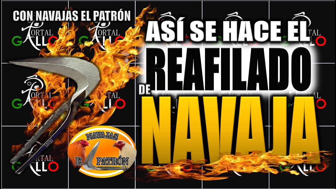 ASÍ SE REAFILAN LAS NAVAJ@S PARA LOS GALLOS DE PELE@ #PortalGallo - YouTube