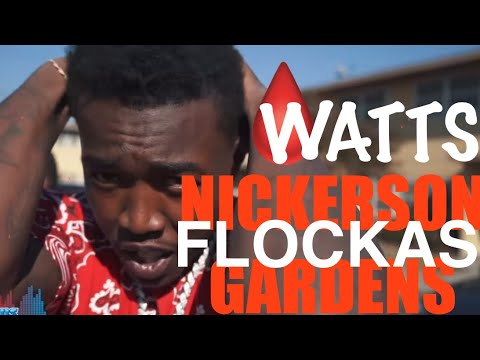 BOUNTY HUNNA WATTS VLOG NICKERSON GARDENS - YouTube