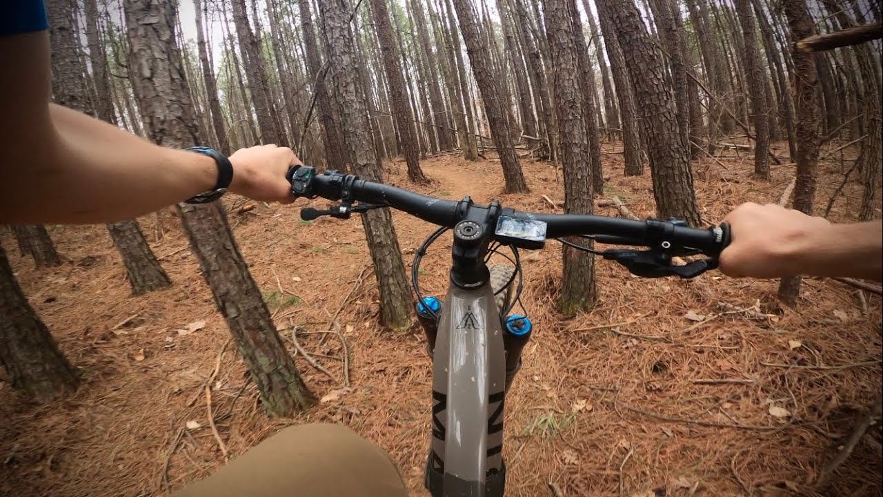New Trail at Bauxite Ridge | BOX TURTLE | Collegedale, TN | MTB Flow ...