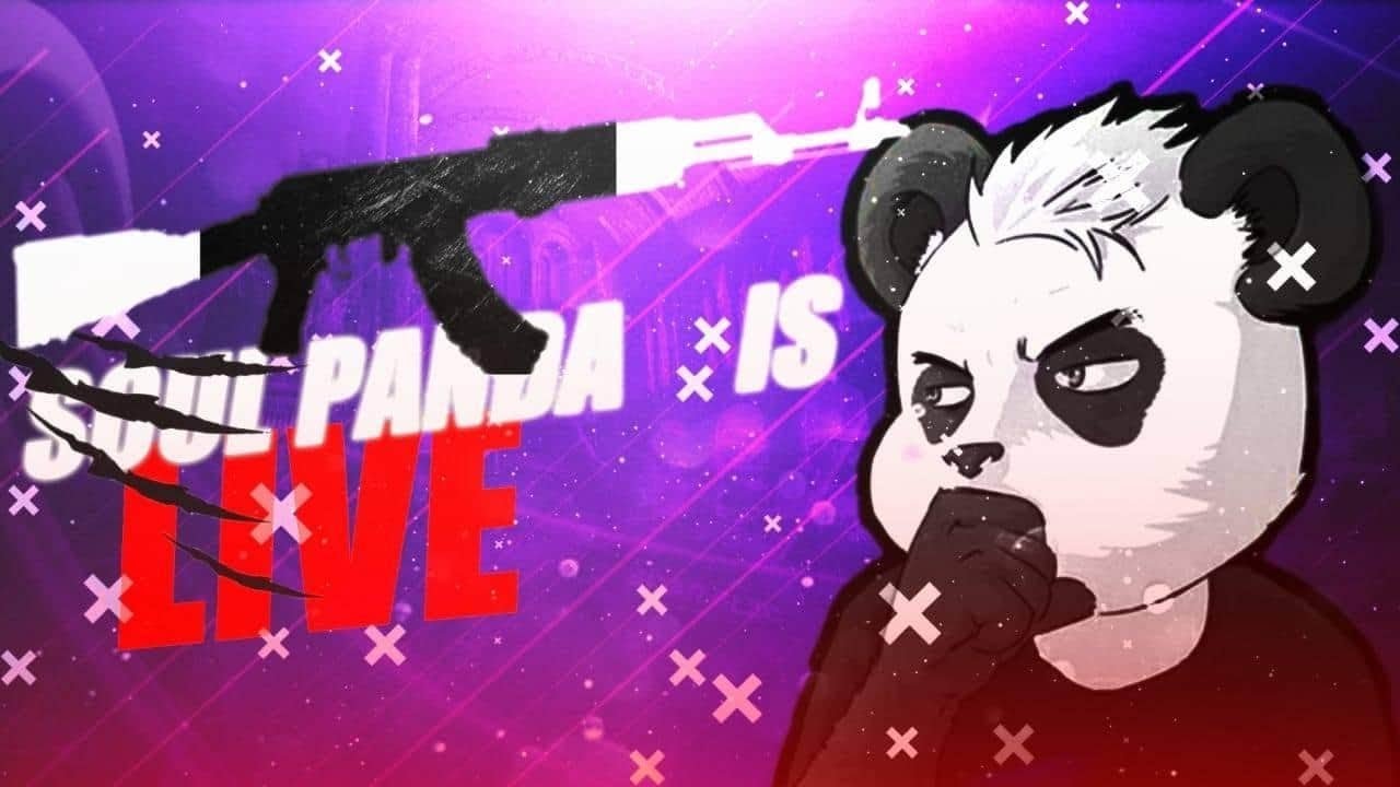 SoUl PANDA gaming Live Stream - YouTube