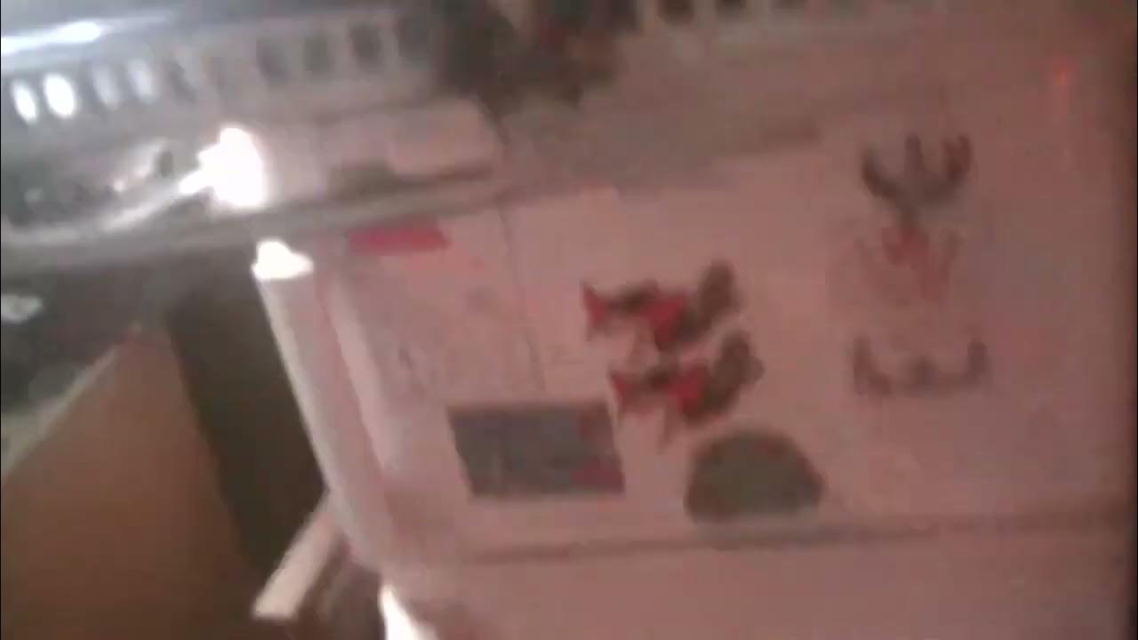 POKARZE WAM JAK TRAKTUJE MNIE #us17 #kononowicz #major #suchodolski #szkolna17 #knur - YouTube