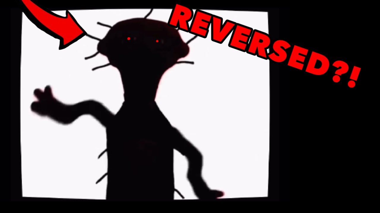 THE BOILED ONE Plushie Message REVERSED - YouTube