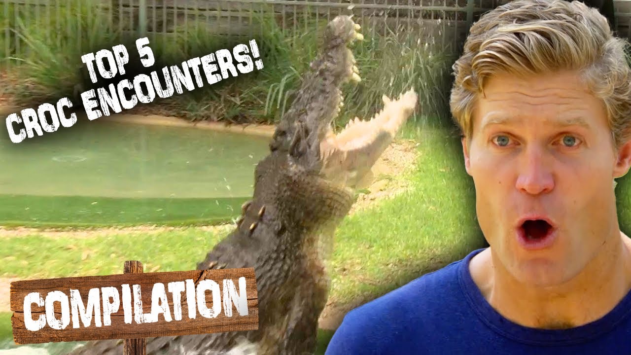Top 5 CRAZY Croc Encounters! 🐊 | Untamed Compilation - YouTube