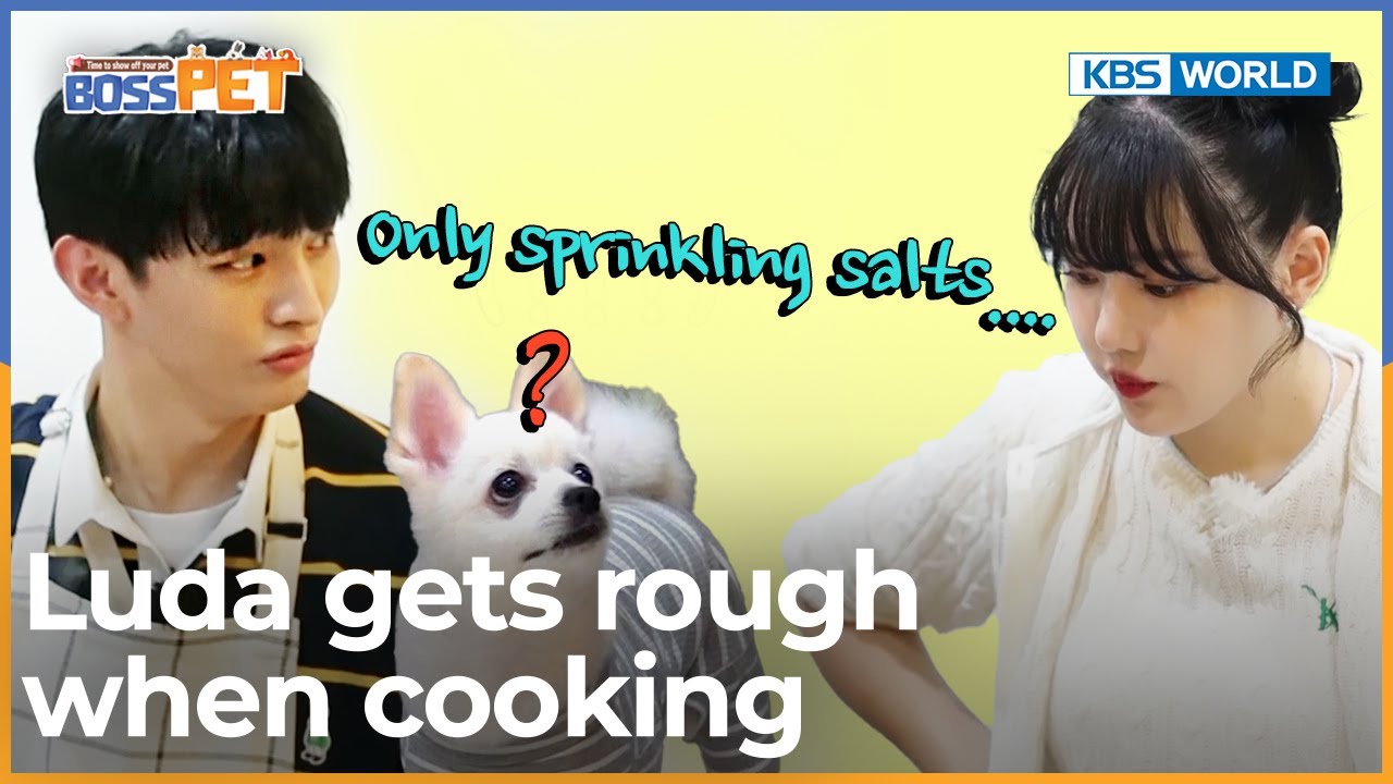 Yerin wants dog snacks.😨 [Boss Pet : EP.10] | KBS WORLD TV 220930 - YouTube
