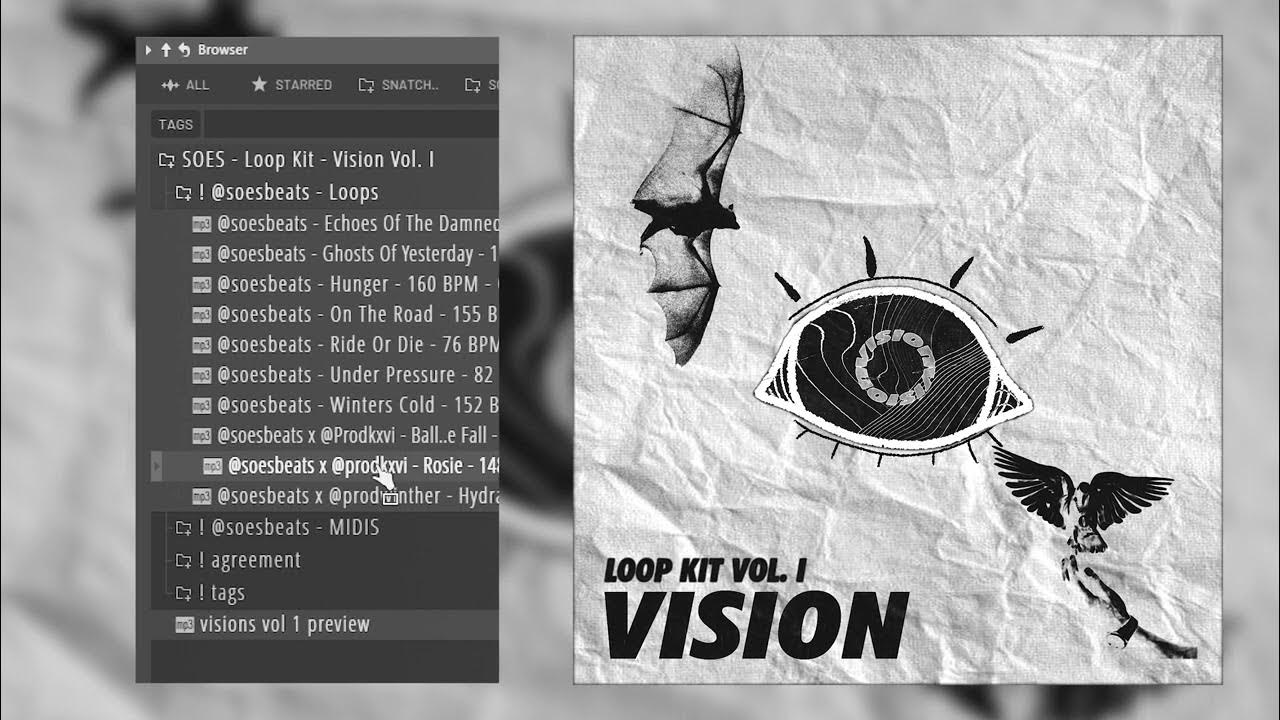 [FREE] Loop Kit / Sample Pack - "Vision" (808 Mafia, PVLACE, Cubeatz ...