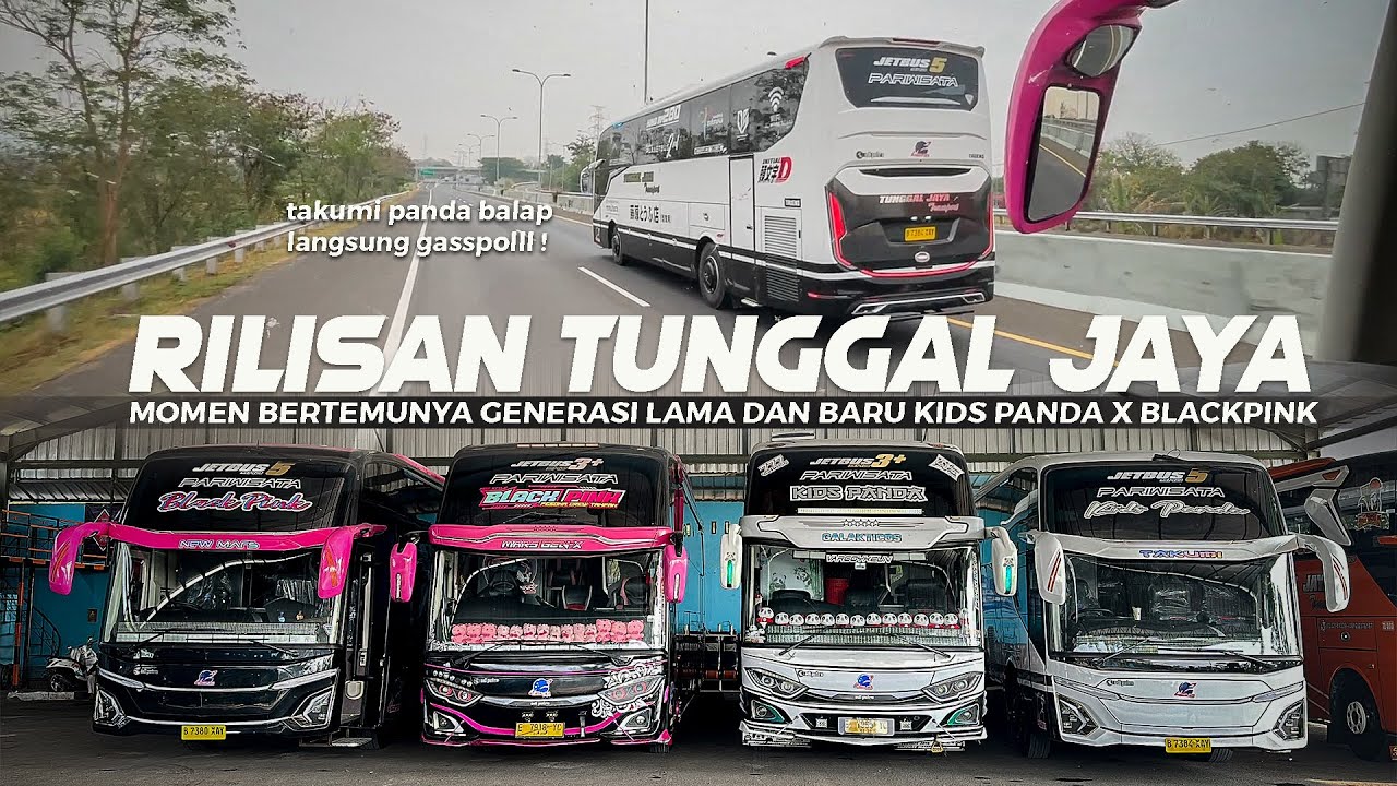 [ MOMEN BERTEMUNYA KIDS PANDA LAMA DAN BARU ! ] TAKUMI PANDA LANGSUNG ...