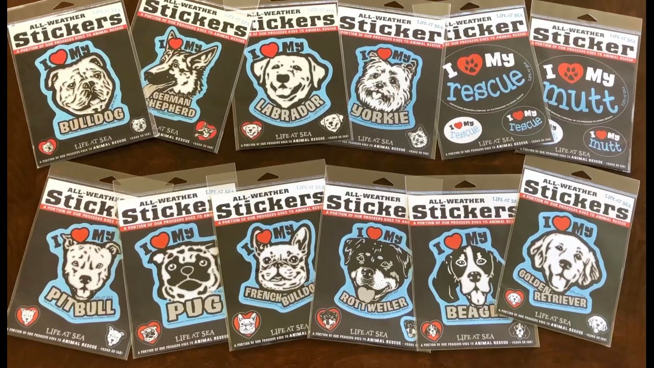 Doggie Stickers Video - Life At Sea - Art by Tim Ward - YouTube