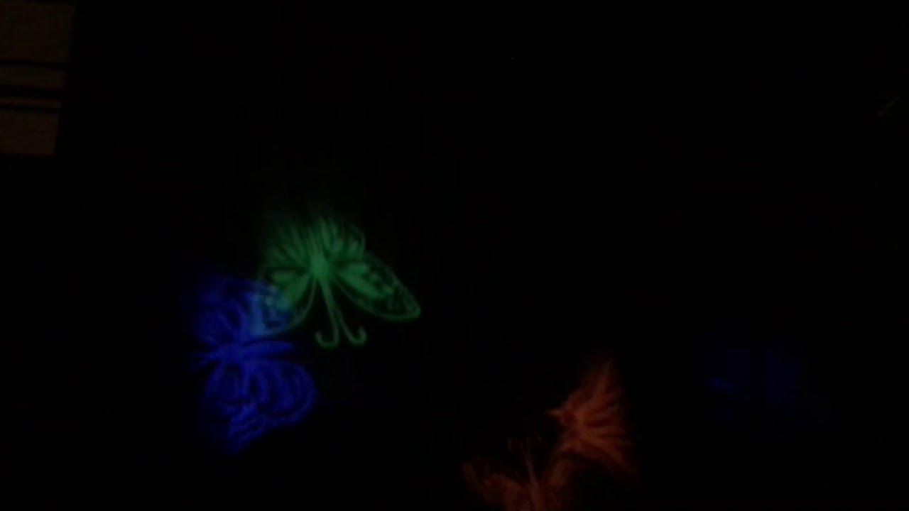 Butterfly projection - YouTube